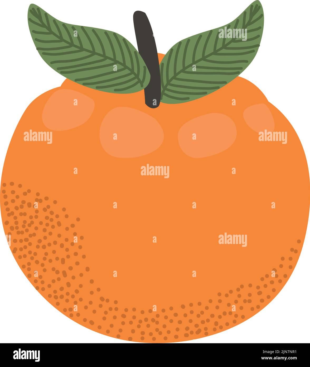 orange citrus fruit Stock Vector Image & Art - Alamy