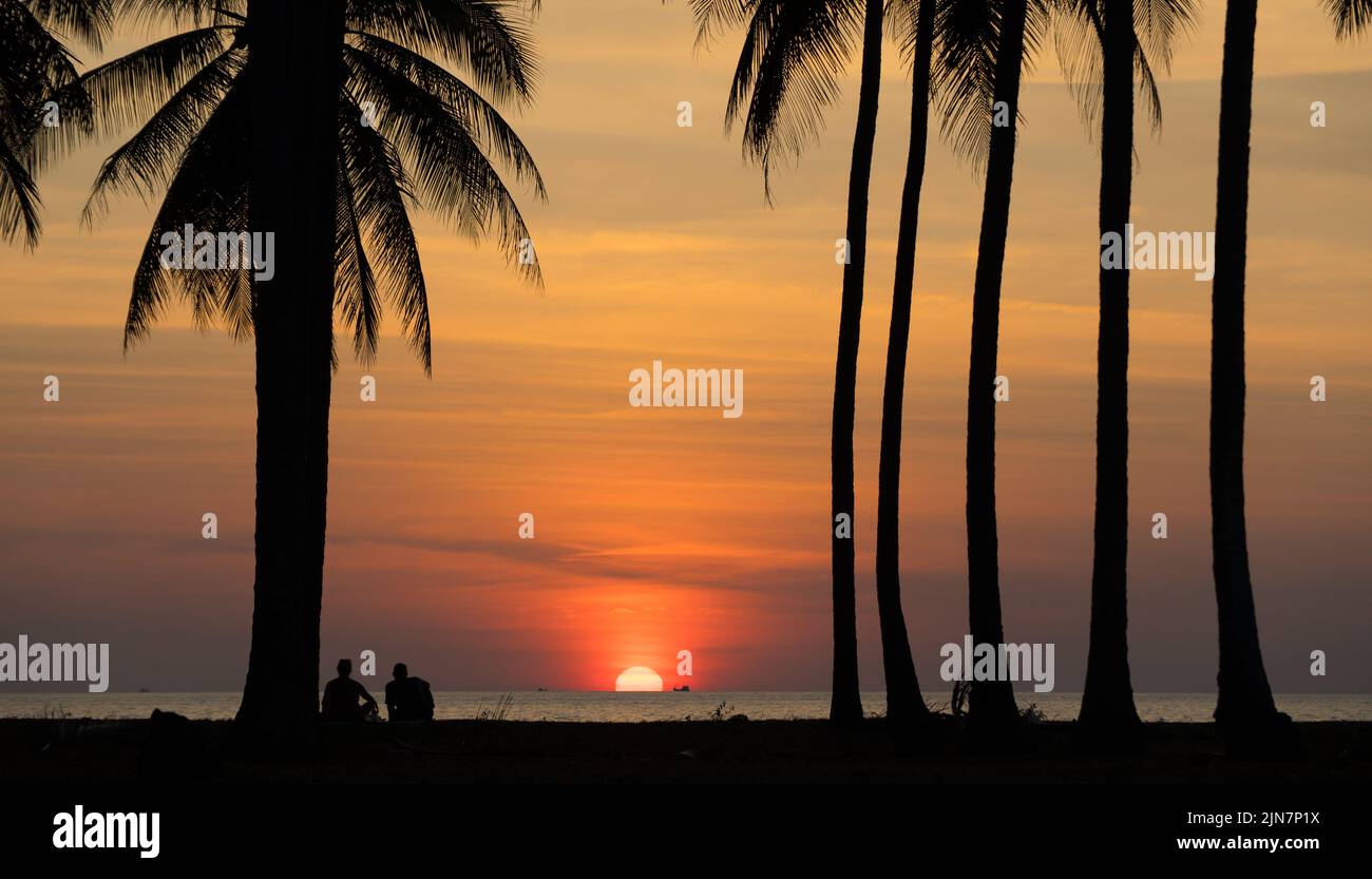 Coconut palm sunset beach. People sit under palm trees with a beautiful ...