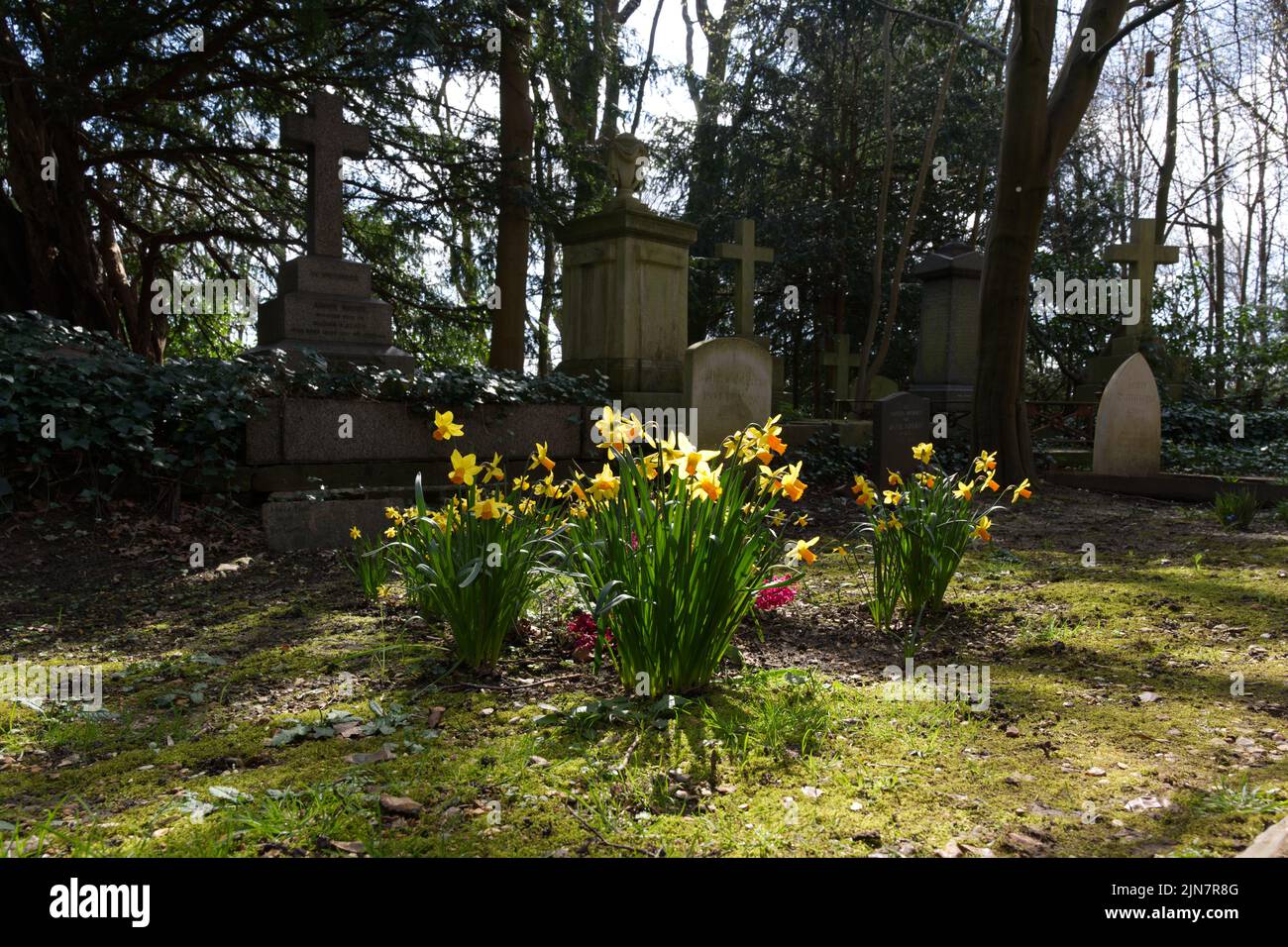 Highgate cemetery - London Stock Photo - Alamy