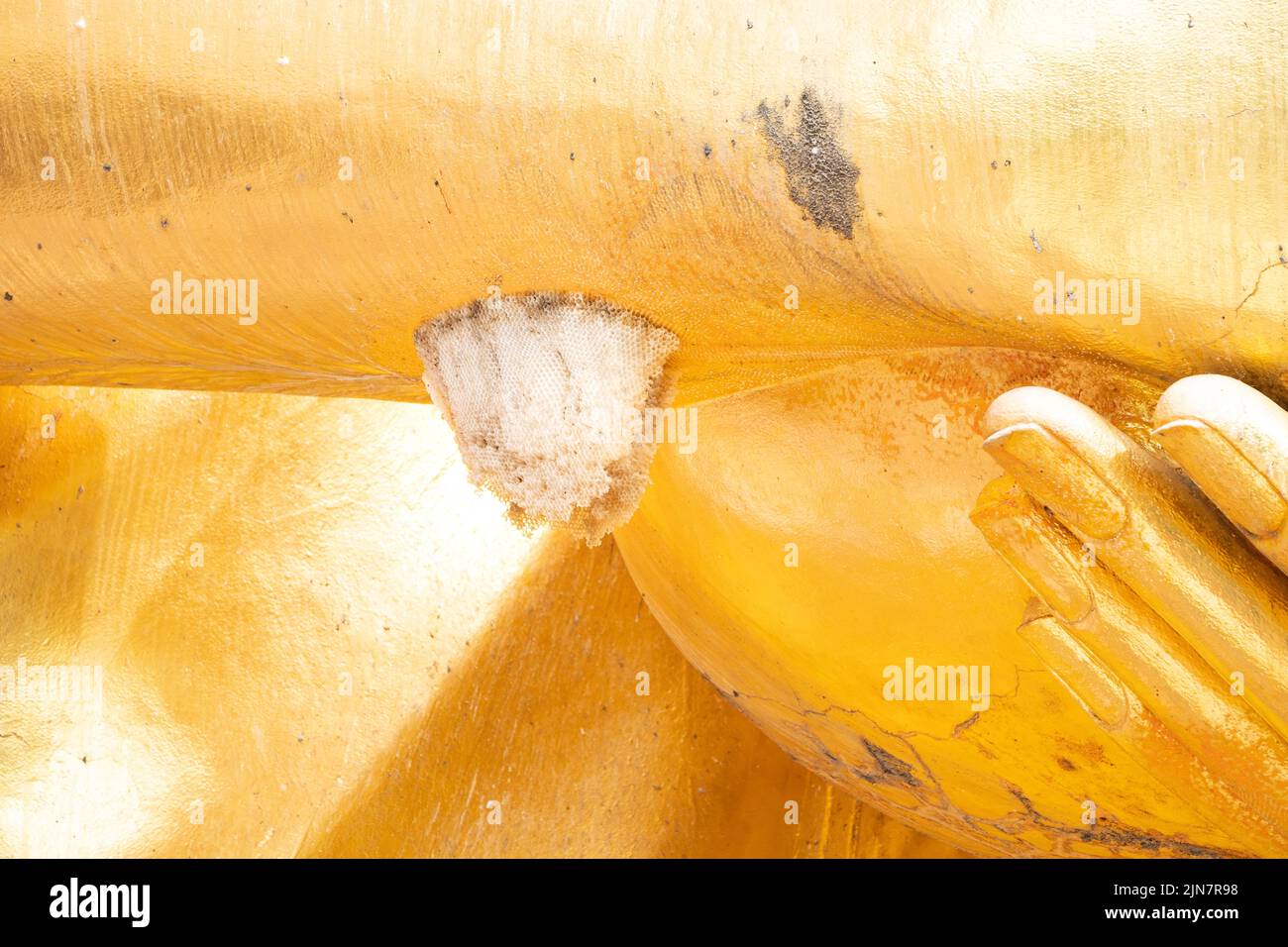There is a white bee nest occur under arm of golden big Buddha statue ...