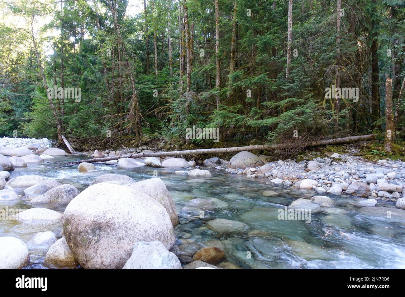 Lynn Canyon Valley River in North Vancouver Stock Photo - Alamy