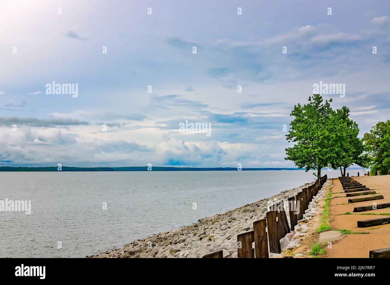 Sardis Lake is pictured, May 31, 2015 in Batesville, Mississippi. The ...