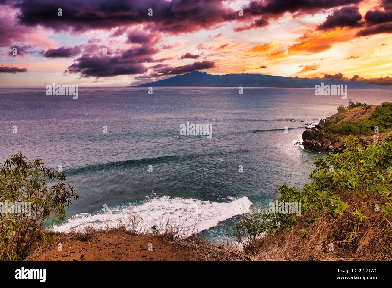 Suring spot hi-res stock photography and images - Alamy