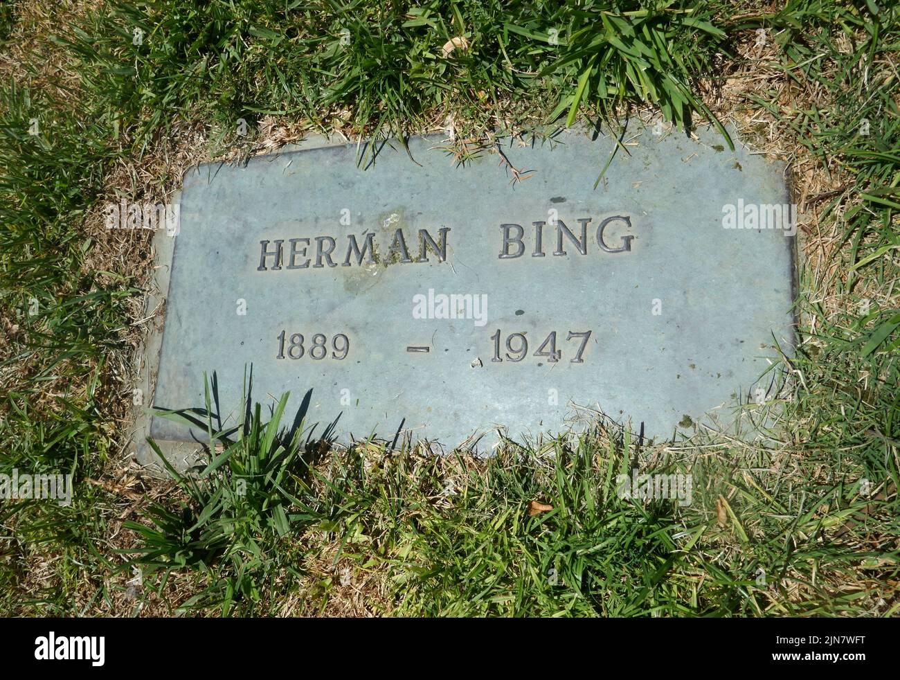 Los Angeles, California, USA 5th August 2022 Actor Herman Bing's Grave ...