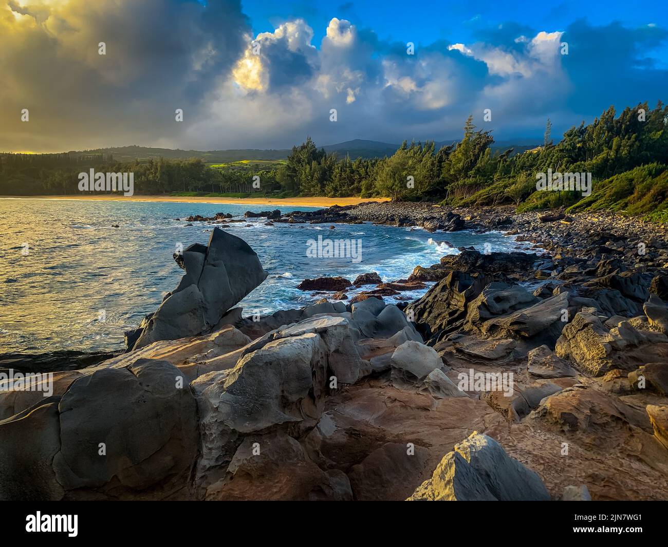 Hawaii blue dragon hi-res stock photography and images - Alamy