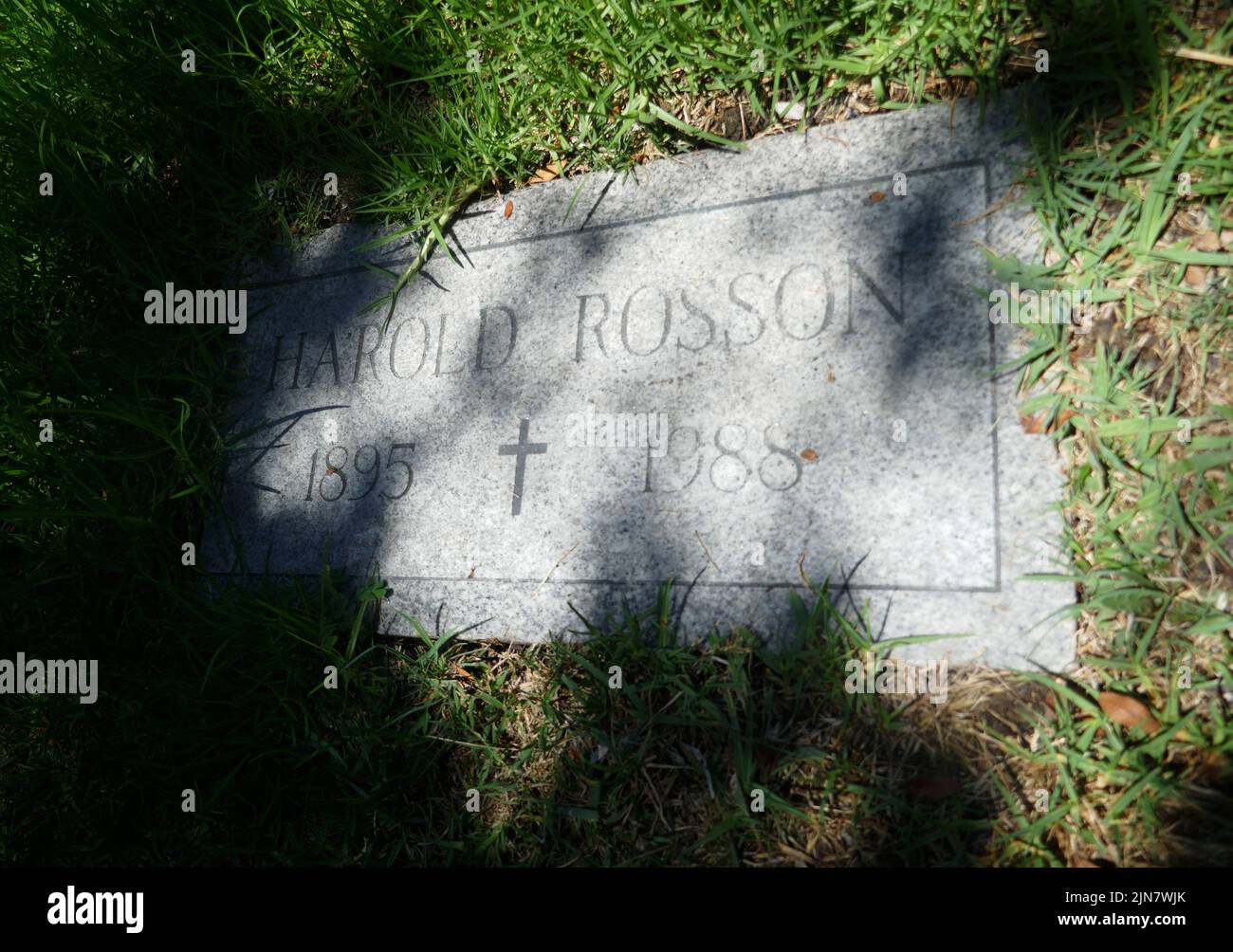 Los Angeles, California, USA 5th August 2022 The Wizard of Oz ...