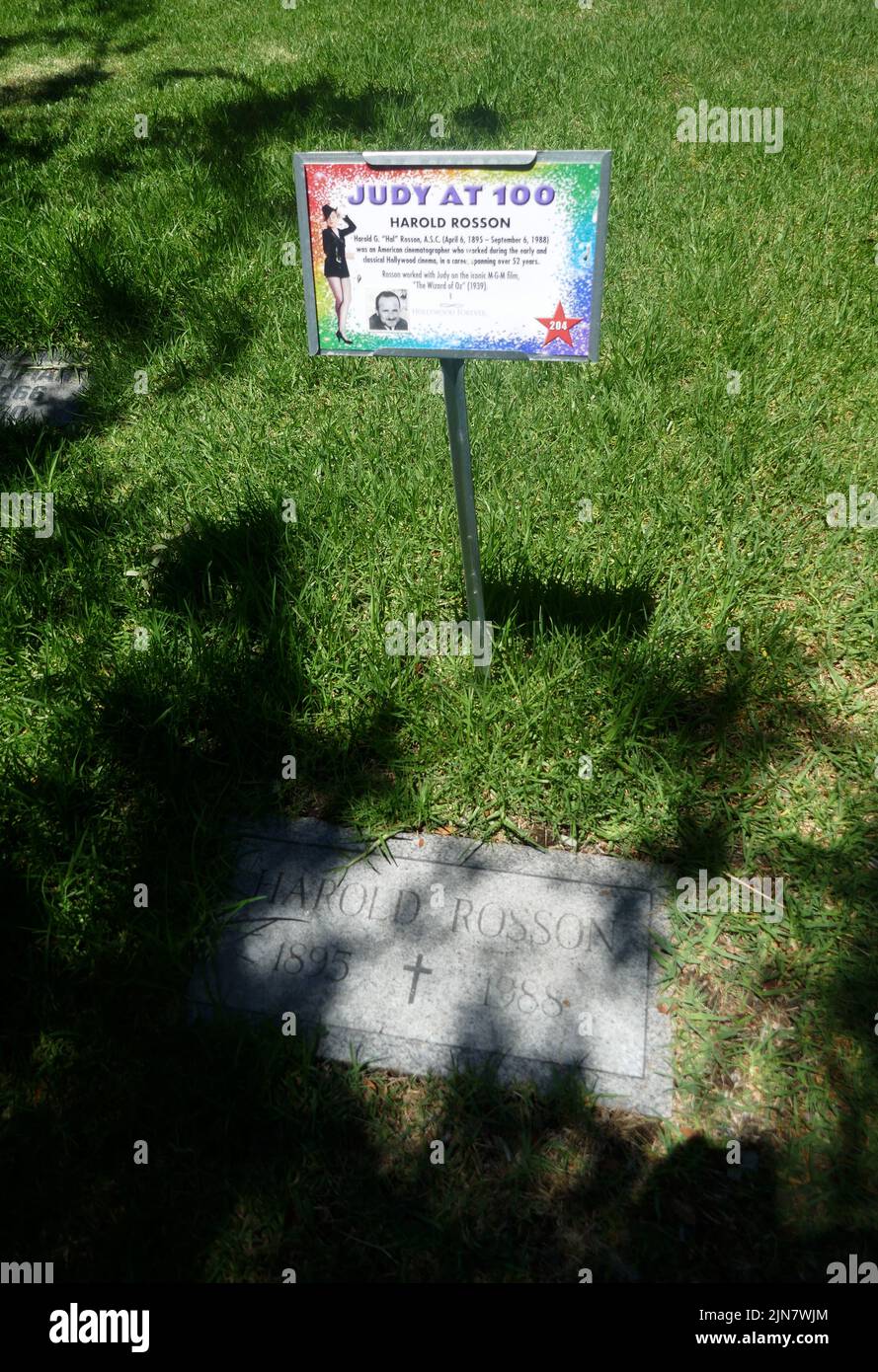 Los Angeles, California, USA 5th August 2022 Cinematographer Harold ...