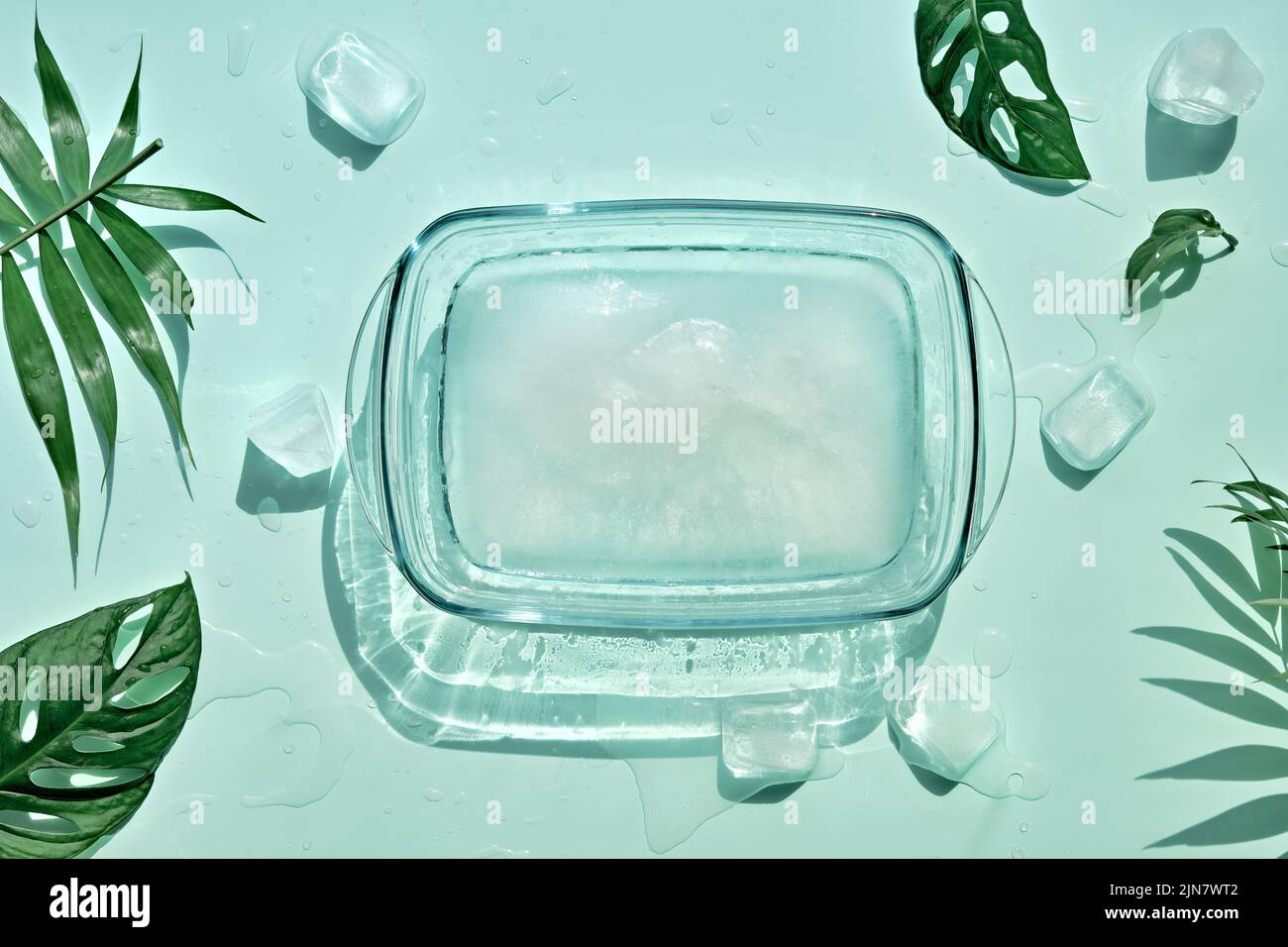 Summer mint green background with cold frozen ice cubes and leaves of ...