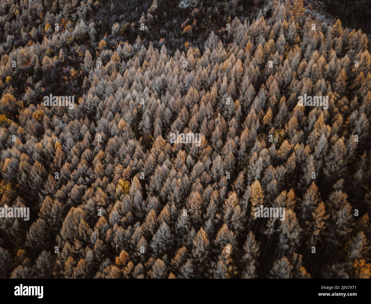 Arrowtown river hi-res stock photography and images - Alamy