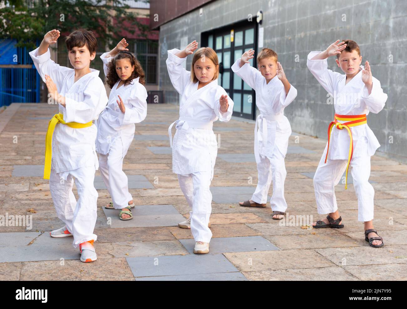 Group of preteen children learning karate movements in schoolyard Stock ...