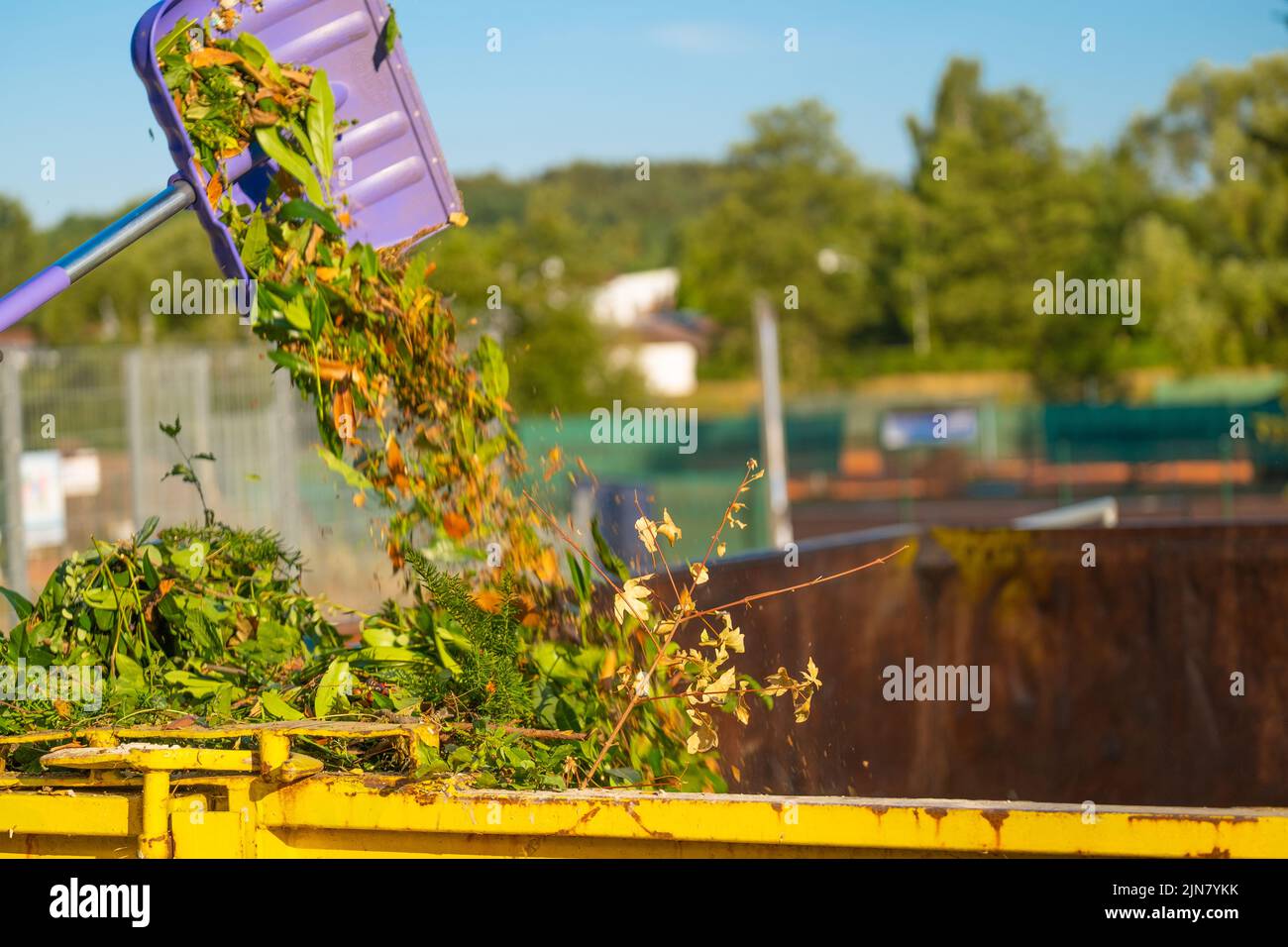 compost with many different plant. Green compost on the shovel pours ...