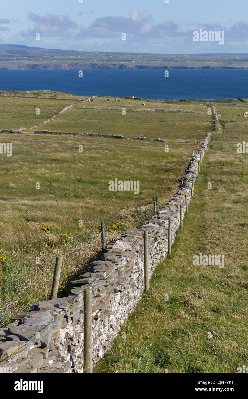 Short stone fences in Cliffs of Moher in County Clare, Ireland Stock ...