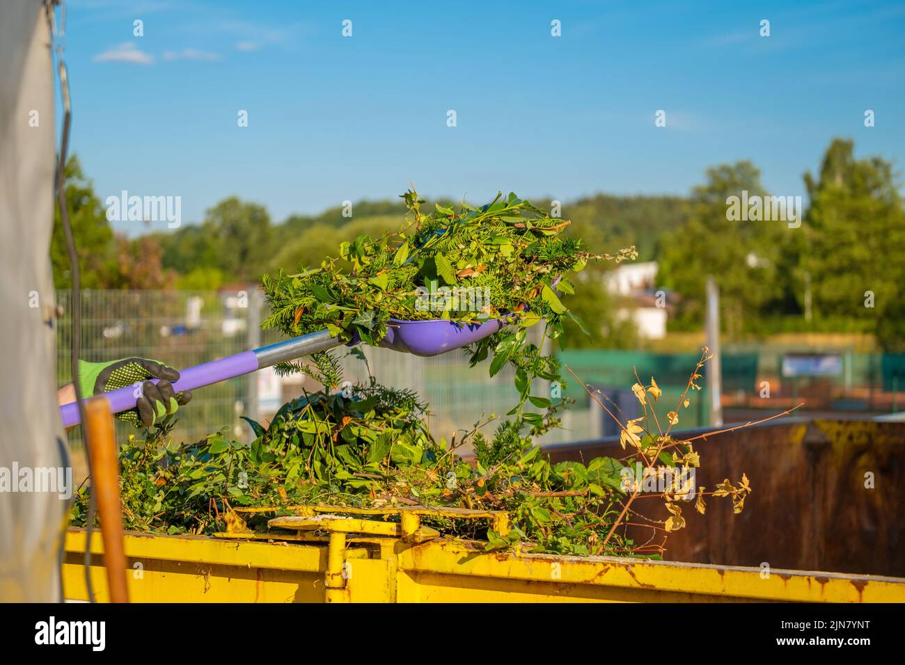 vegetable compost .Bio garbage. compost with many different plant ...