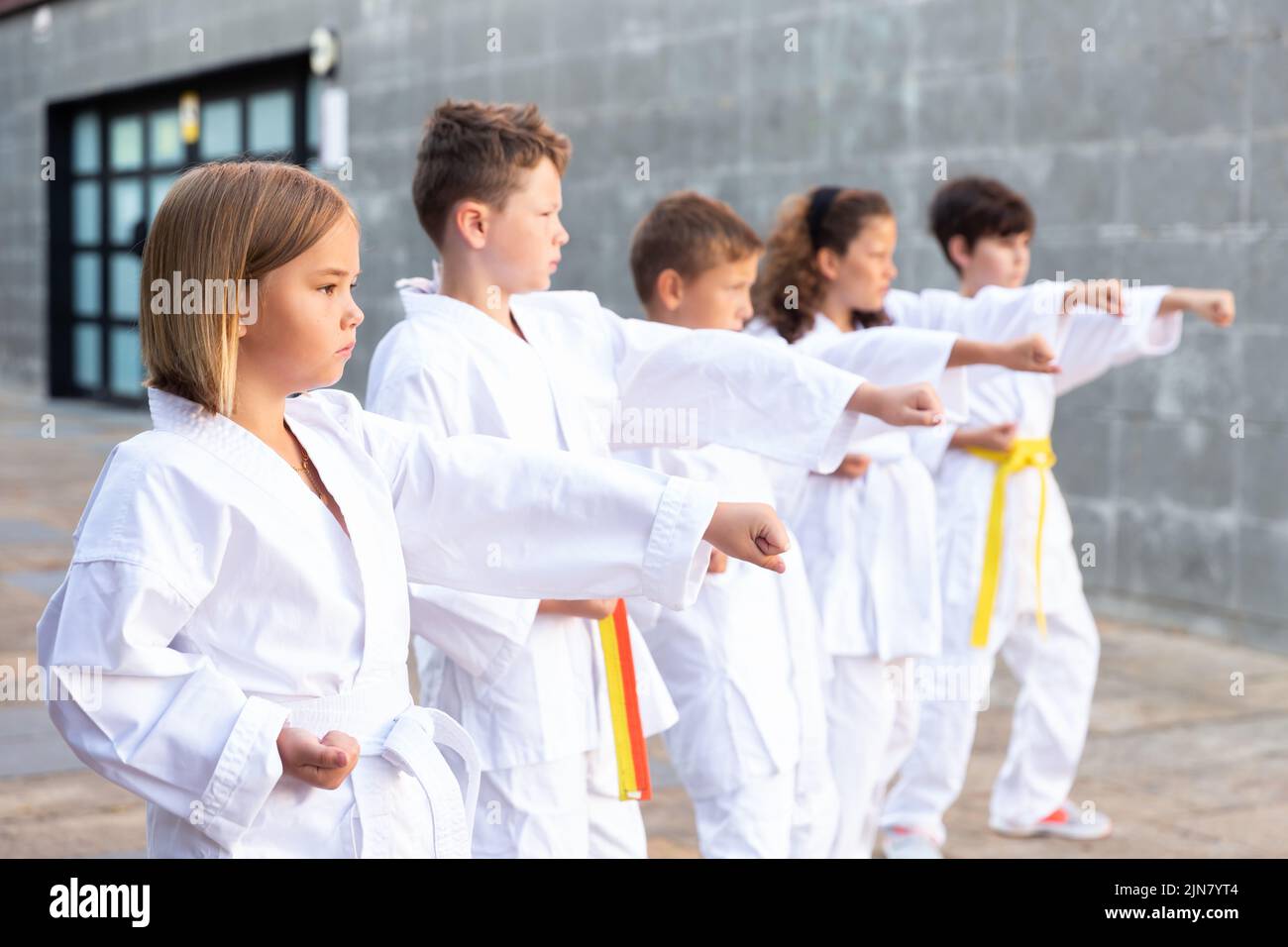 Children are standing in the fighting stance karate Stock Photo - Alamy