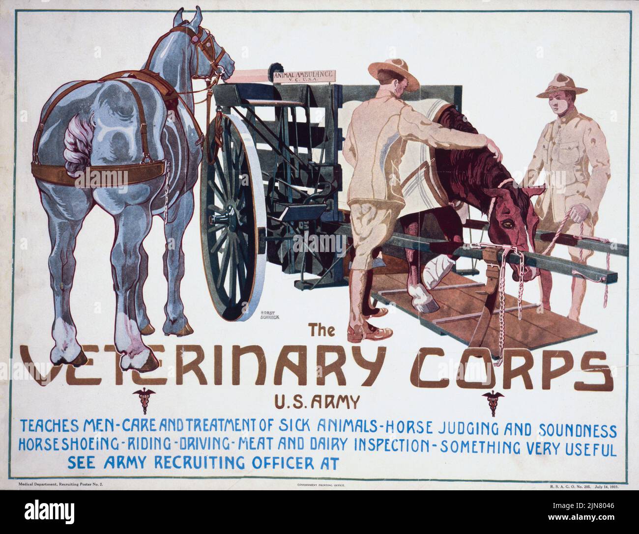 World war i horse meat hi-res stock photography and images - Alamy