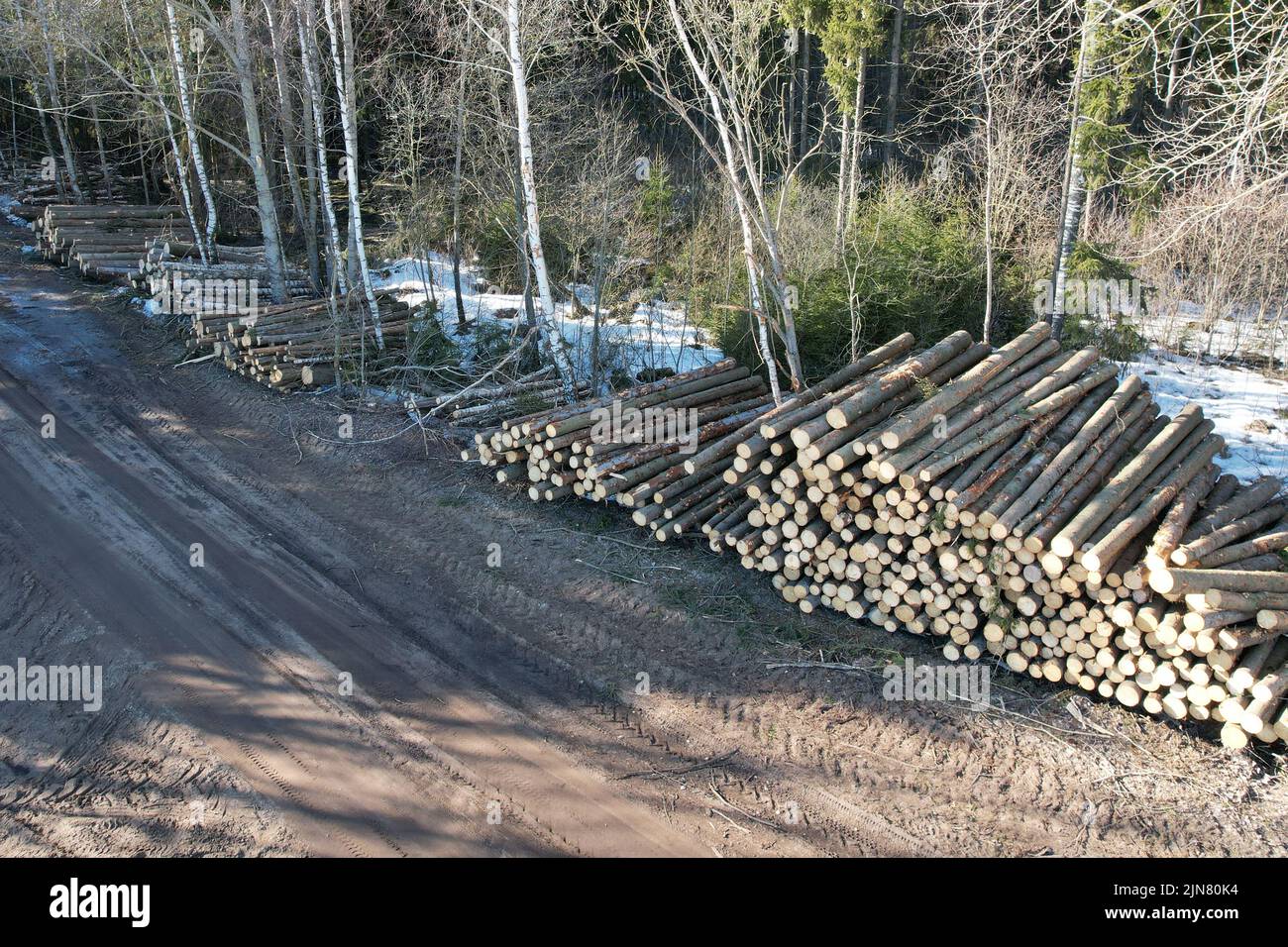 Timber cut theme. Logging forest industry aerial view Stock Photo - Alamy