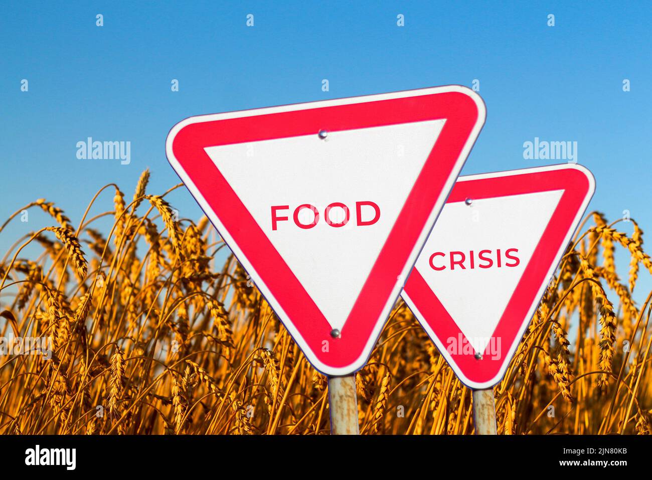 Food crisis concept. Two red road signs. Defocus blank empty triangle ...
