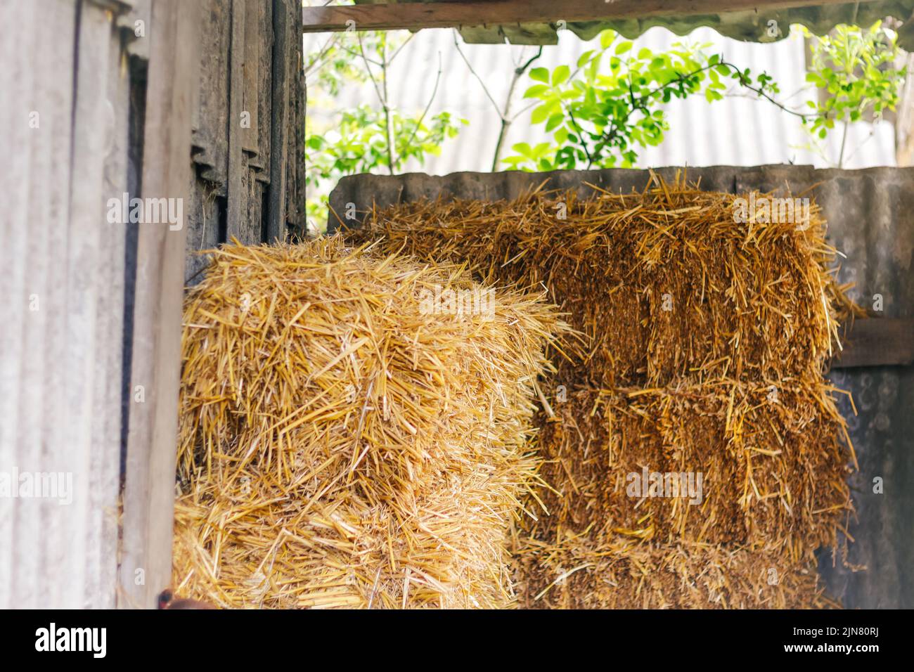 Oat Straw Bale