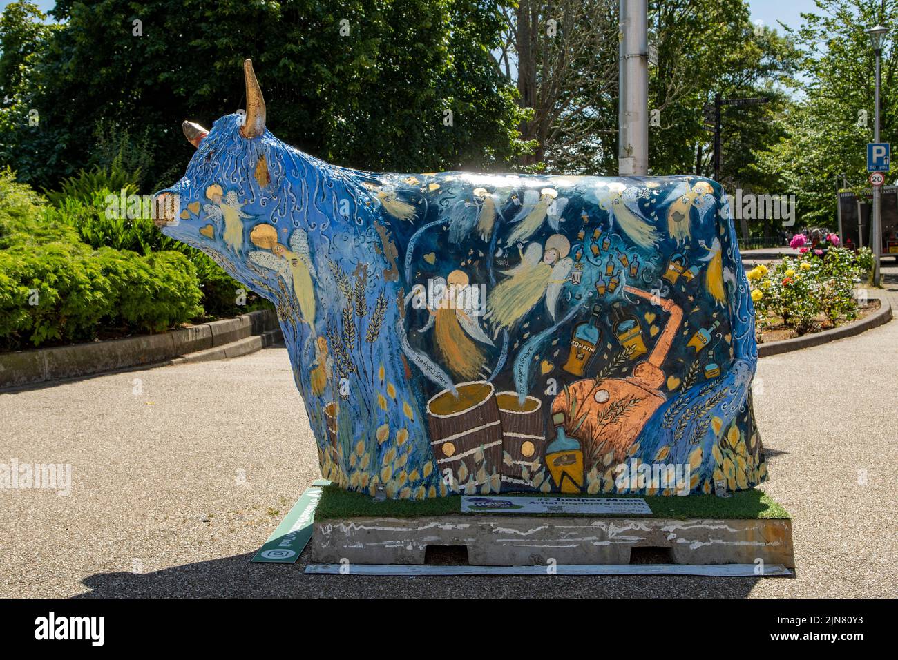 Highland cow art hi-res stock photography and images - Alamy