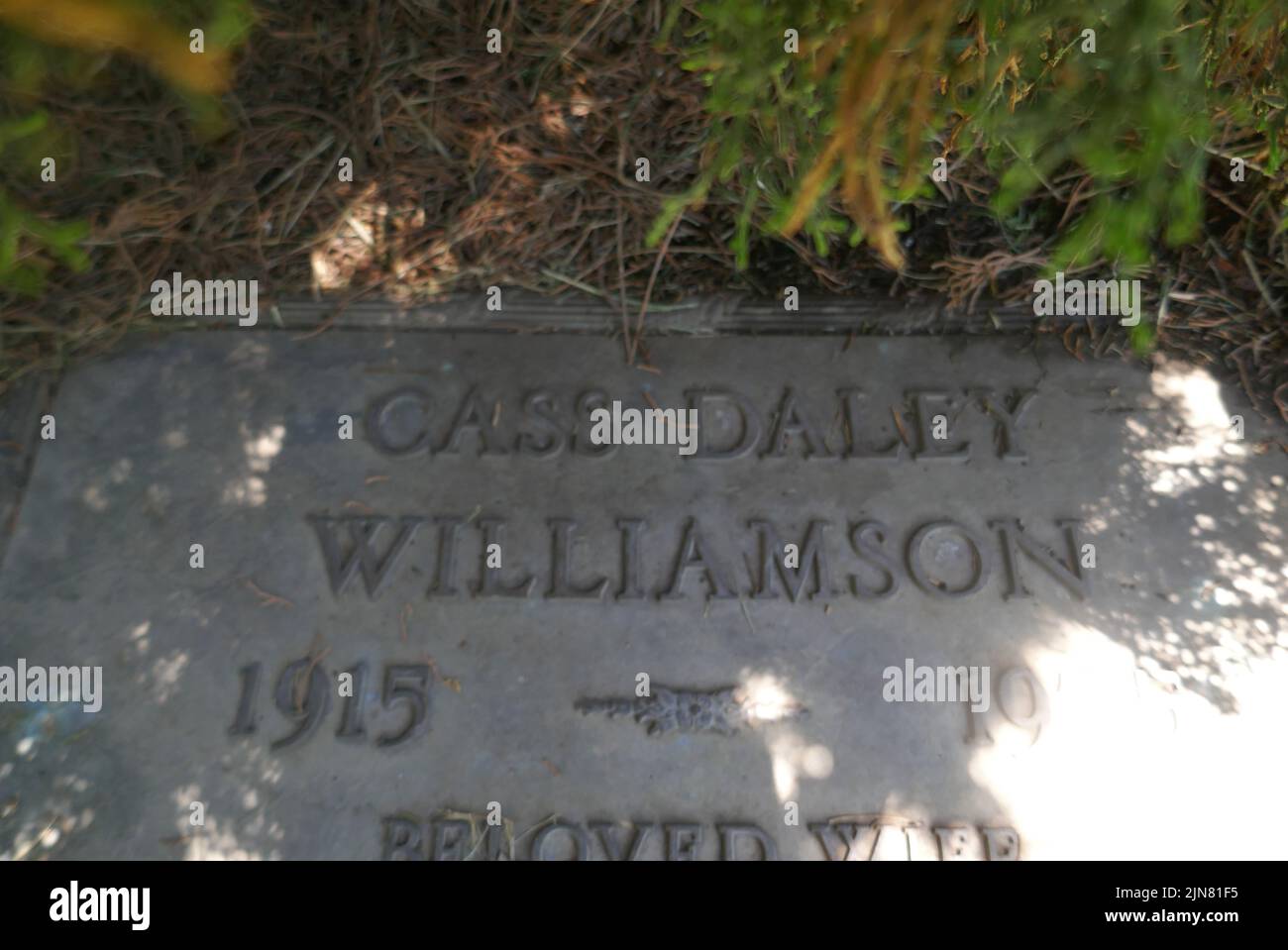 Los Angeles, California, USA 5th August 2022 Actress Cass Daley's Grave ...