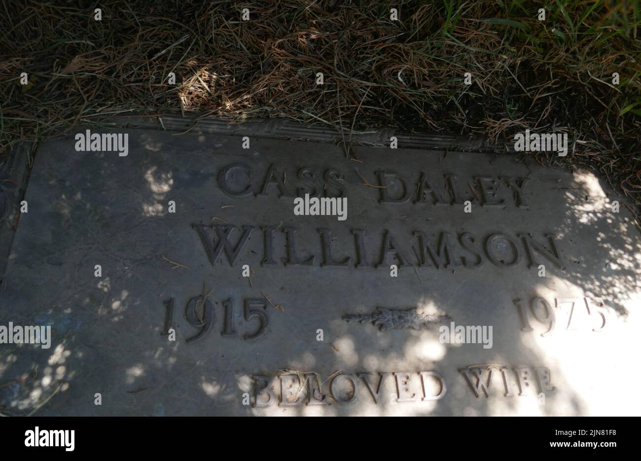 Los Angeles, California, USA 5th August 2022 Actress Cass Daley's Grave ...