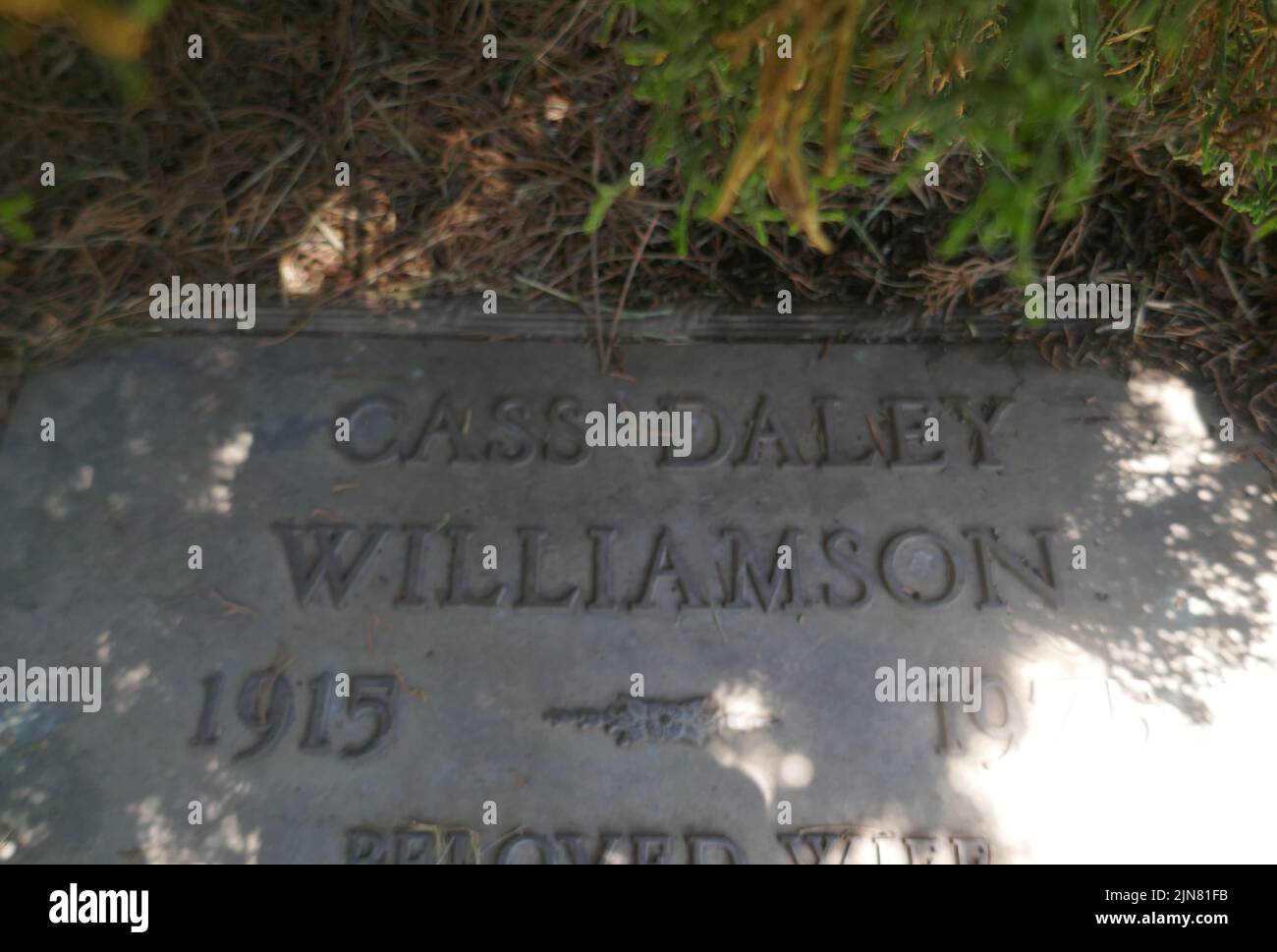 Cass daley hi-res stock photography and images - Alamy