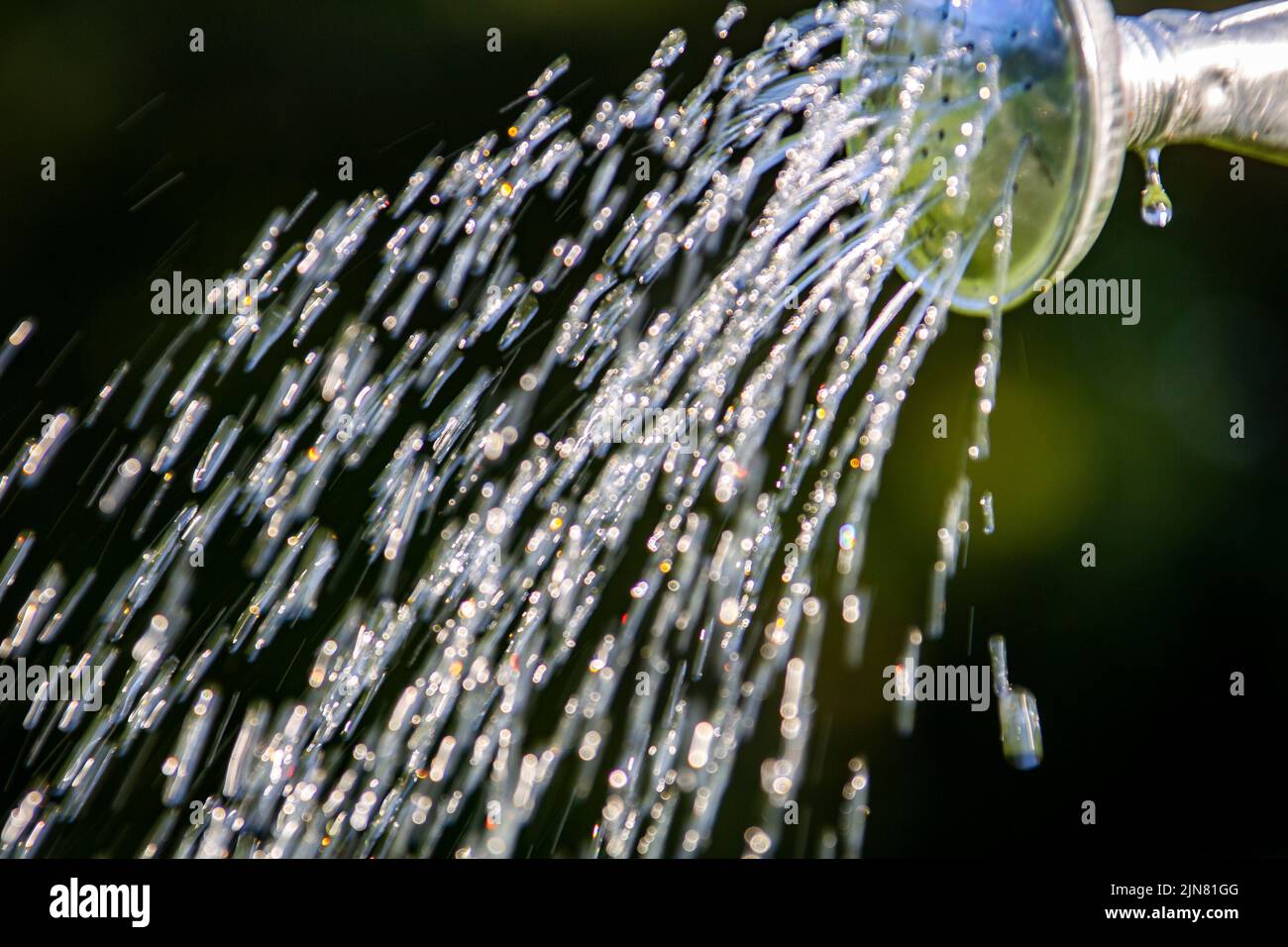 watering can with water coming out, watering plants Stock Photo - Alamy