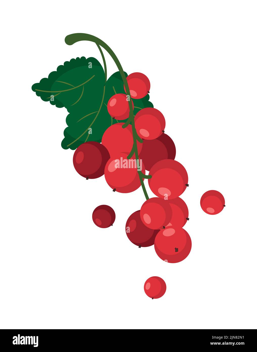 Red currant texture Stock Vector Images - Alamy