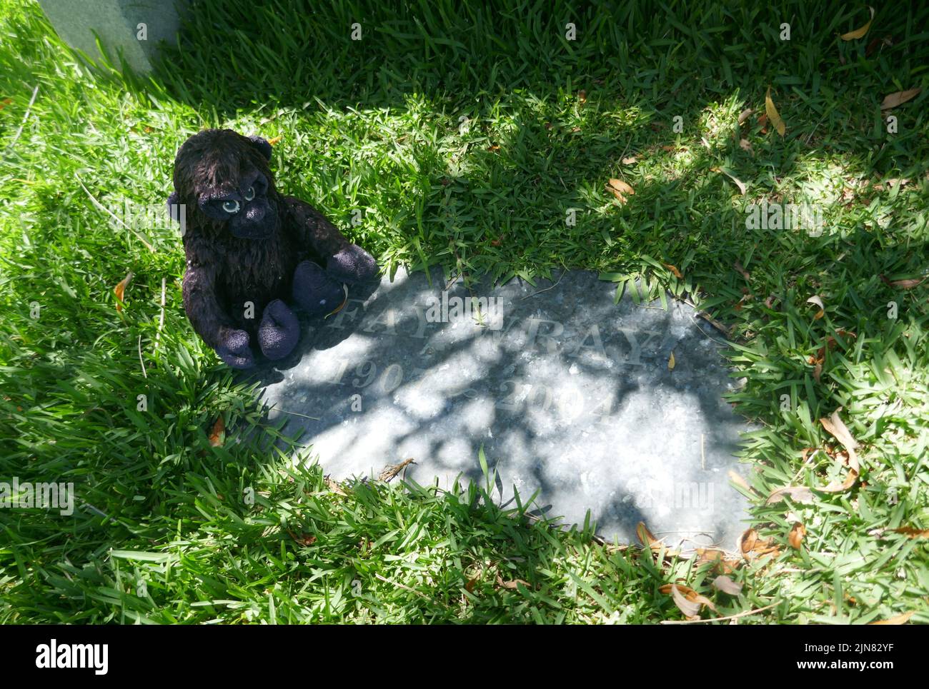 Los Angeles, California, USA 5th August 2022 Actress Fay Wray's Grave ...