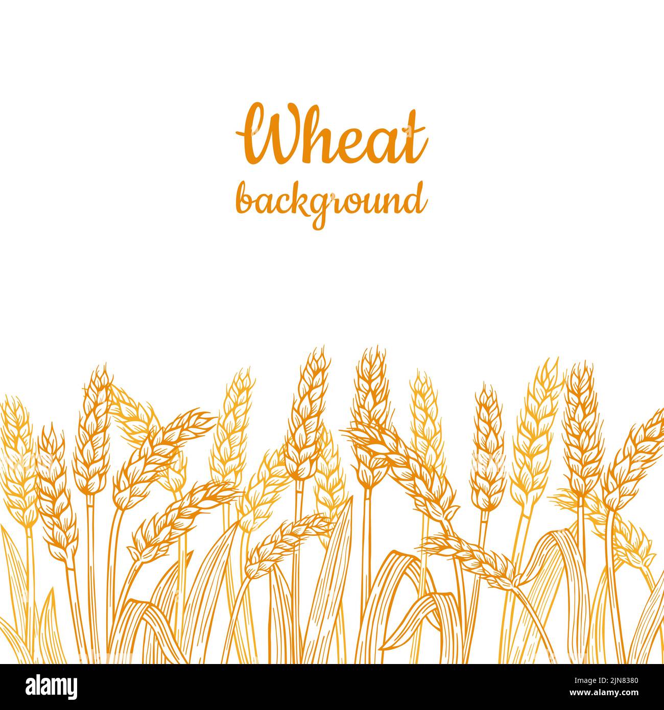 Wheat ear gold sketch border background. Agricultural linear golden ...