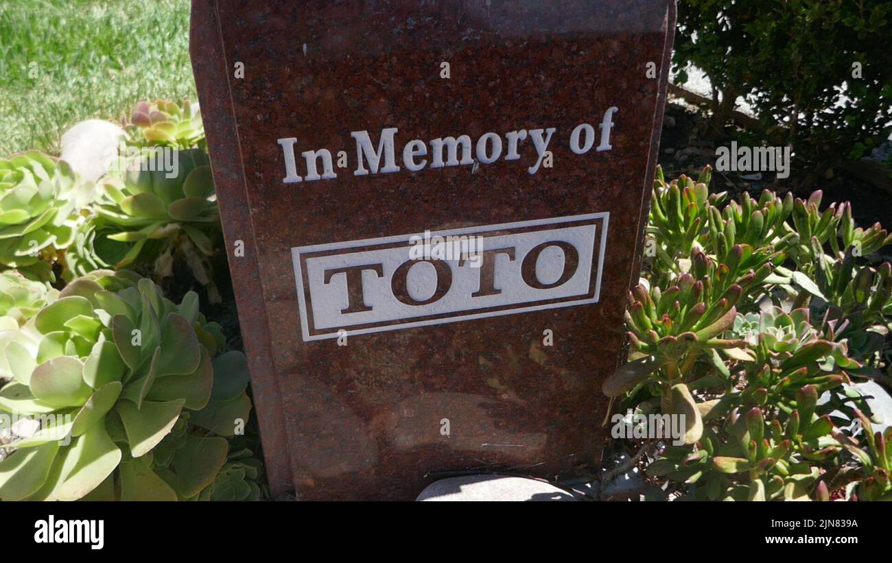 Los Angeles, California, USA 5th August 2022 The Wizard of Oz Toto ...