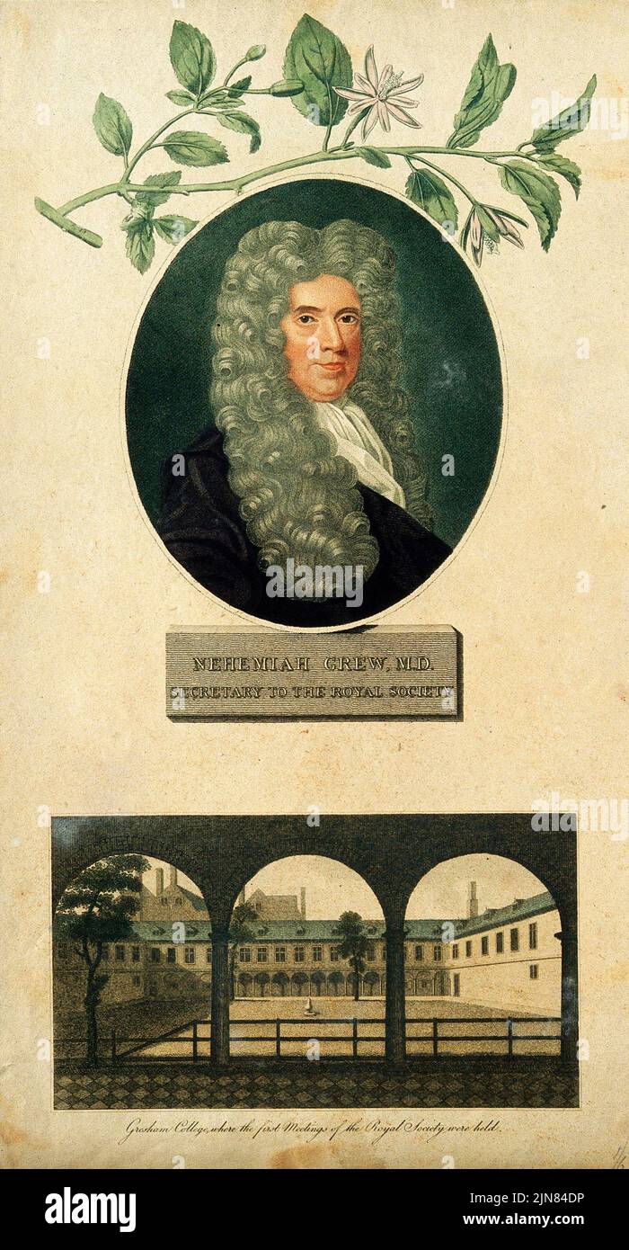 Nehemiah Grew, British botanist and anatomist Stock Photo - Alamy