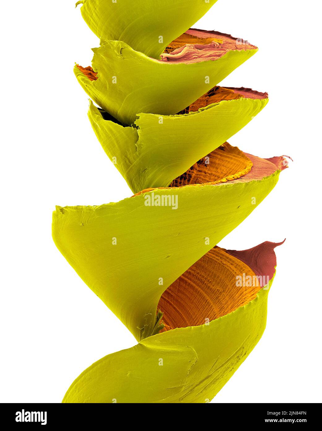 PVC plastic shaving, SEM Stock Photo - Alamy