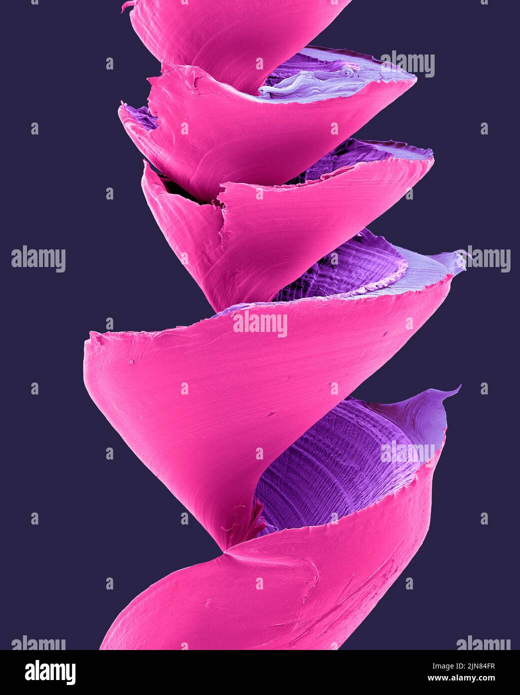 PVC plastic shaving, SEM Stock Photo - Alamy