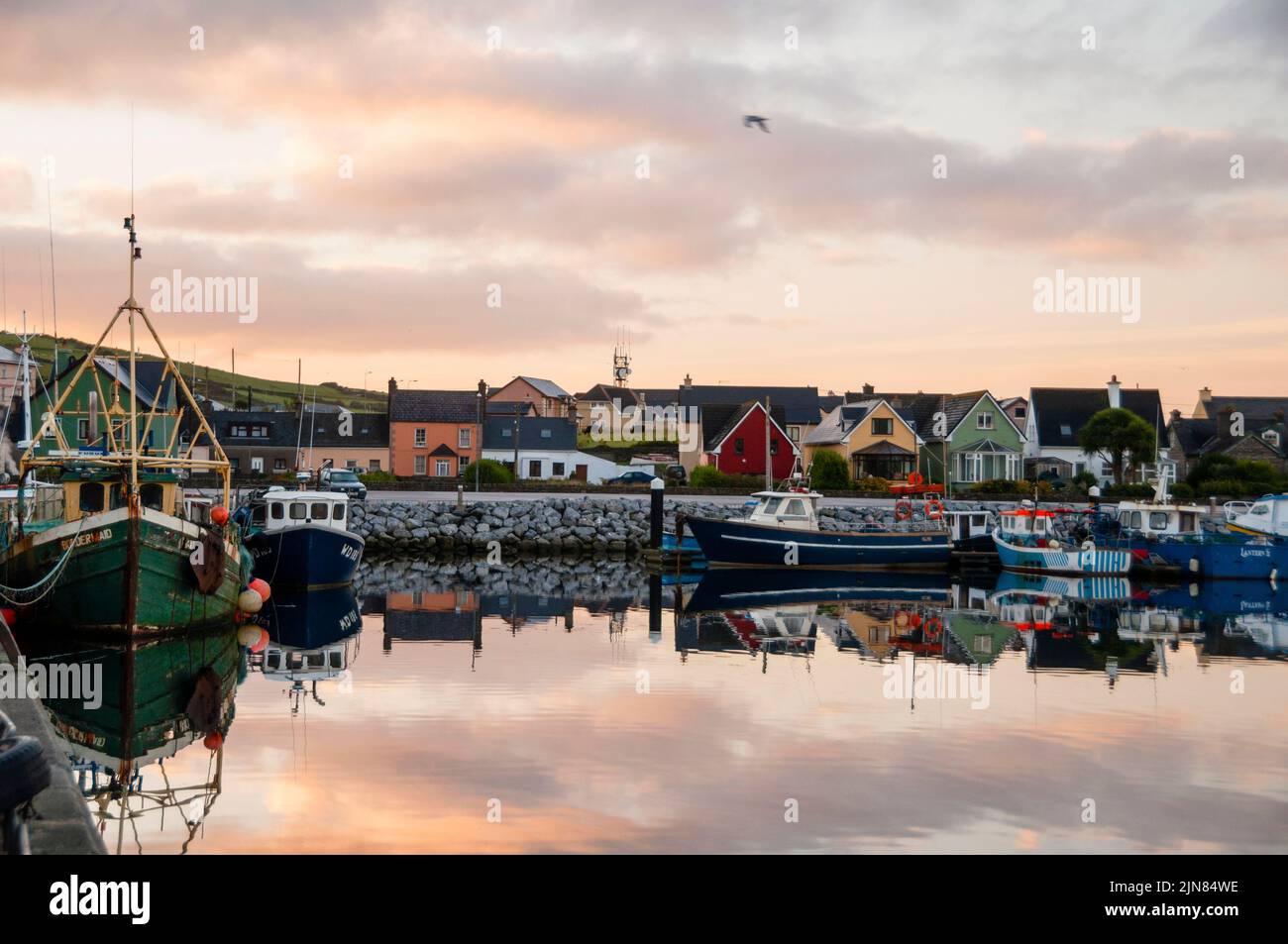 Dingle Harbor in the port town of Dingle on the Dingle Peninsula ...