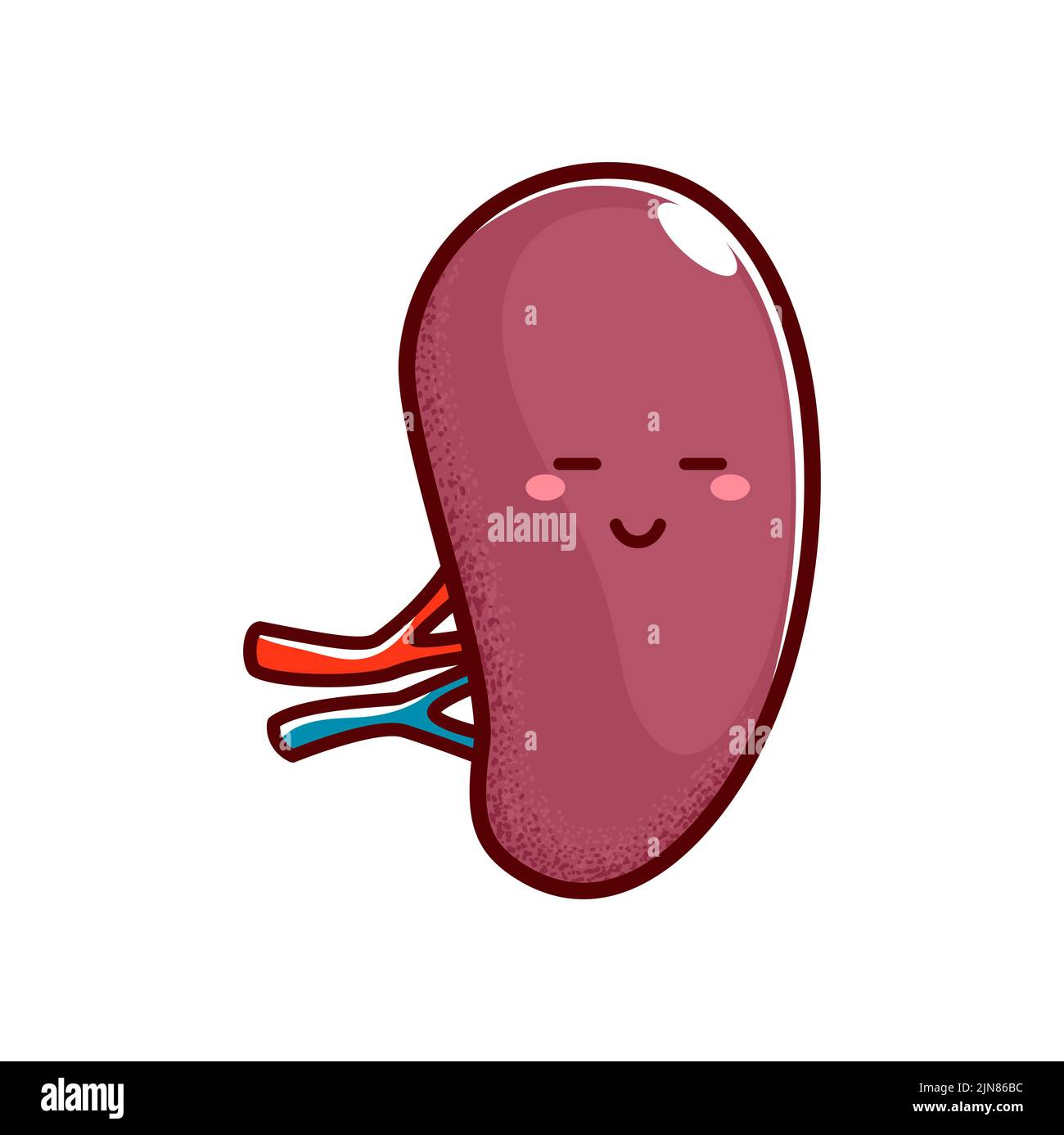 One smiling kidney, happy healthy human organ funny cartoon character ...