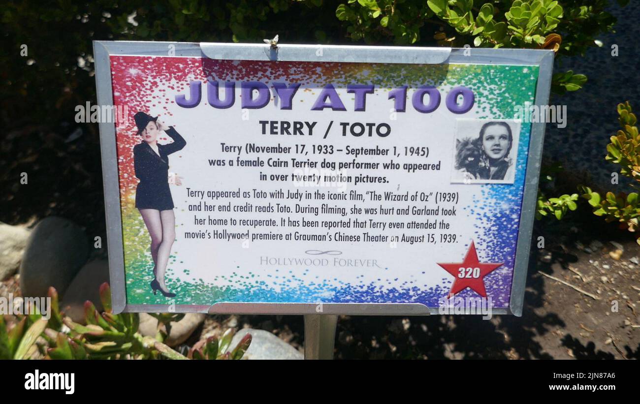 Los Angeles, California, USA 5th August 2022 The Wizard of Oz Toto ...