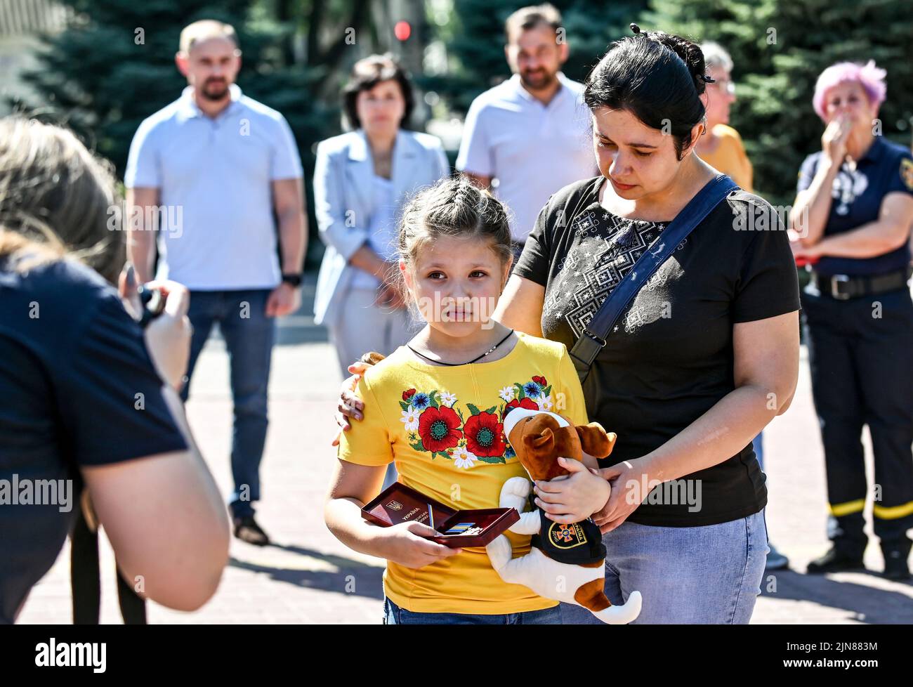 Toy patron dog hi-res stock photography and images - Alamy