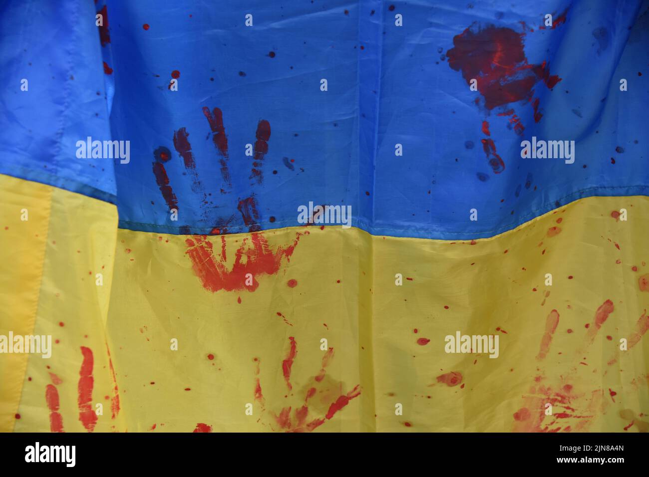 Azov regiment flag hi-res stock photography and images - Alamy