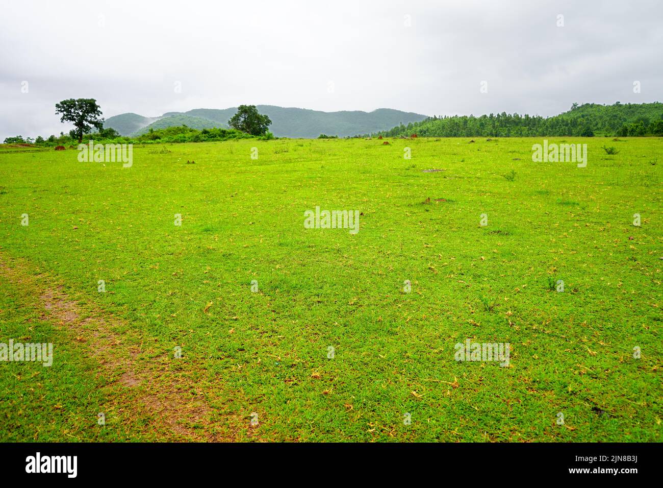 Odisha scenery hi-res stock photography and images - Alamy