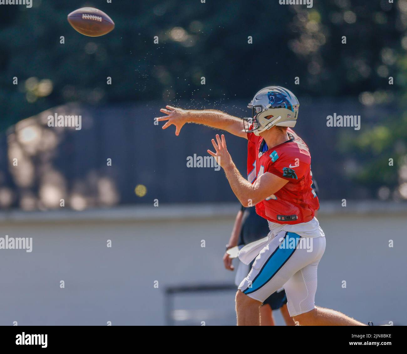Sam darnold 2022 hi-res stock photography and images - Alamy