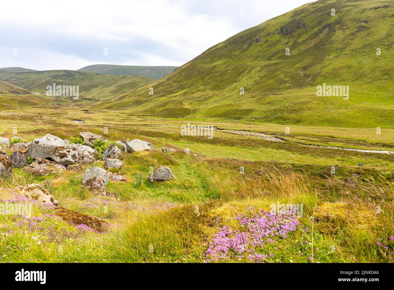Scottish landscape in Cairngorms national park near Balmoral, Scotland ...