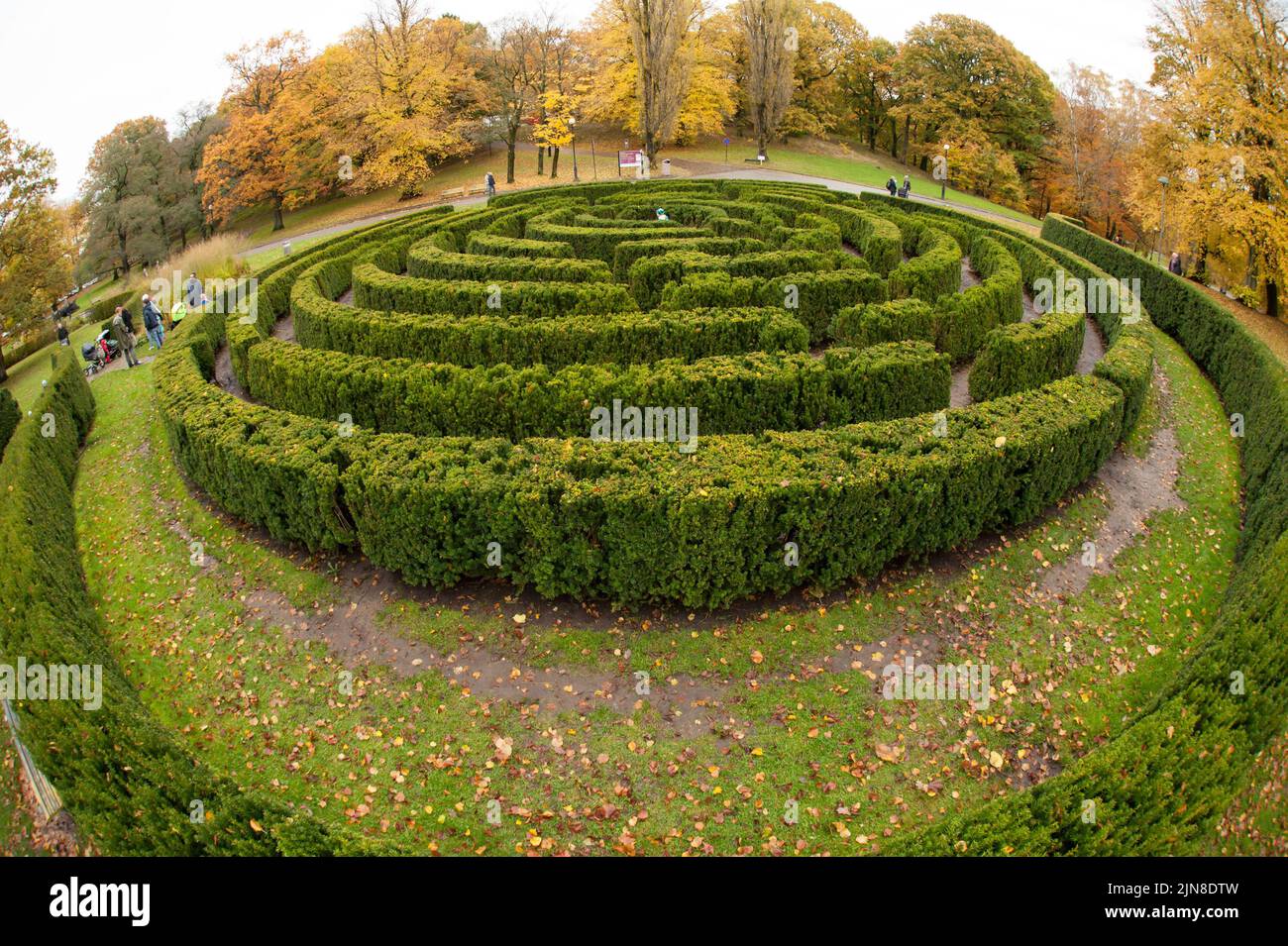 A fisheye curved angle view of a small green plant maze at a park Stock ...
