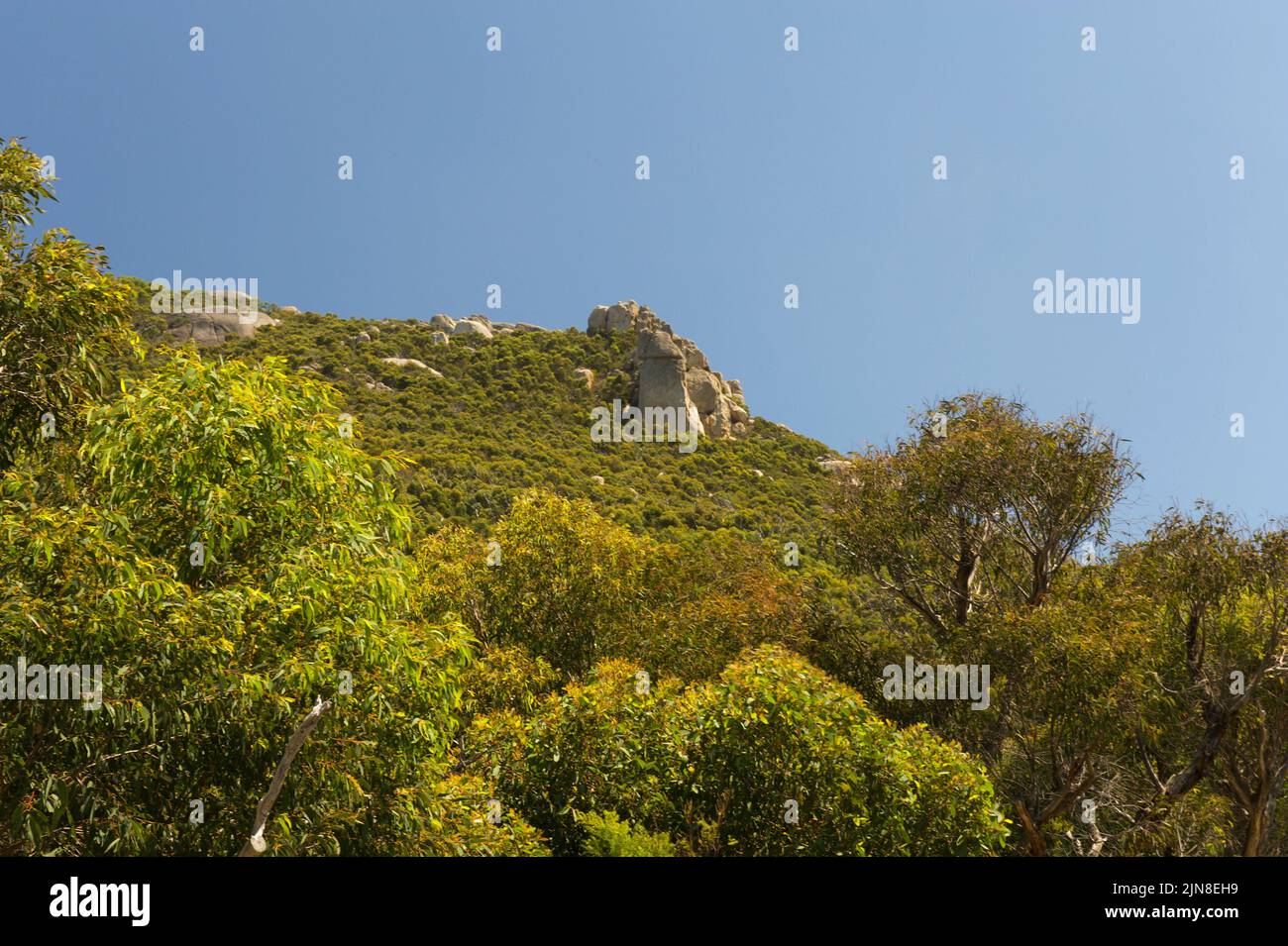 Mount Oberon is 558 metres high, at the Southern tip of Wilsons Promontory National Park, behind ...