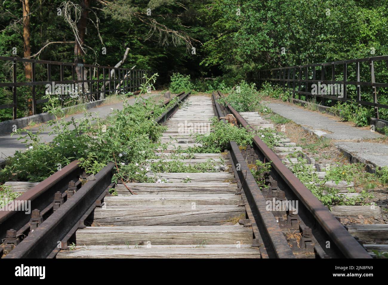 An old and rustic railroad leading to a forest on a sunny day Stock ...