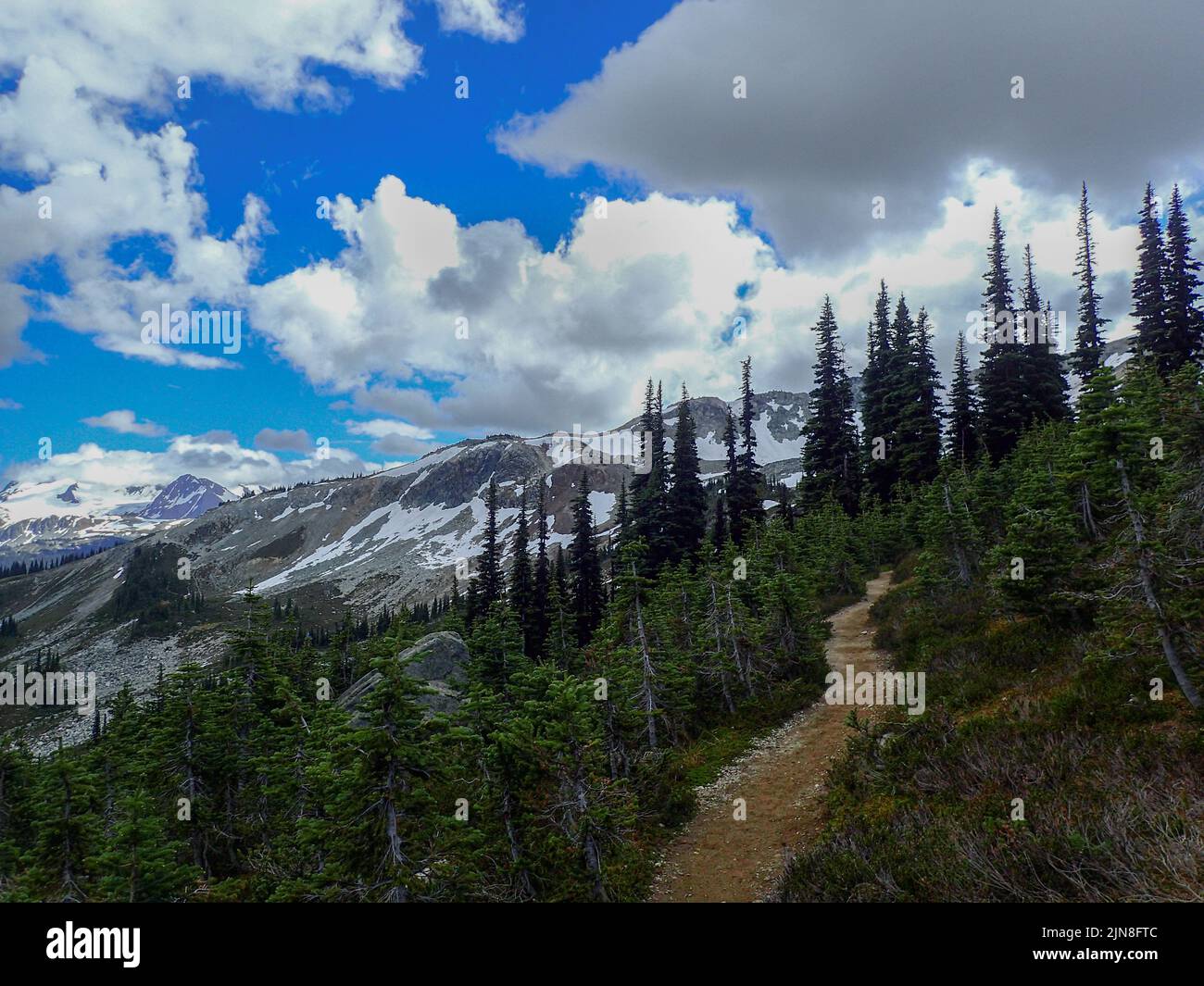 The beautiful Alpine Walk Trail on Whistler Mountain with clear sky and ...
