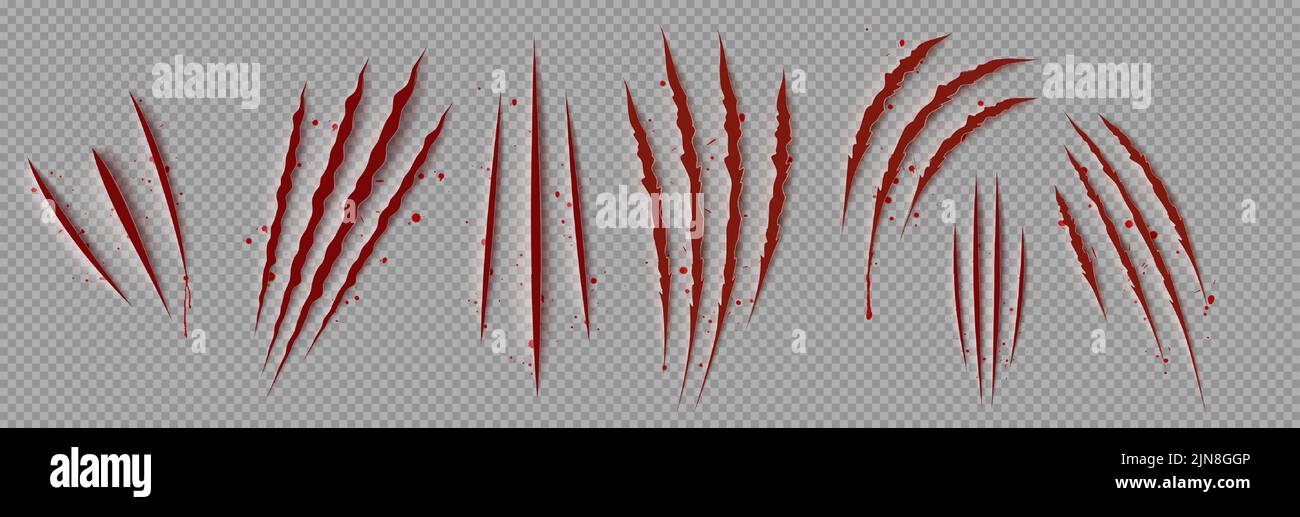 Bloody claw marks, realistic png set. 3D vector illustration of wild ...