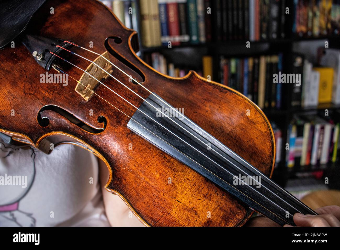 Professional girl hi-res stock photography and images - Alamy