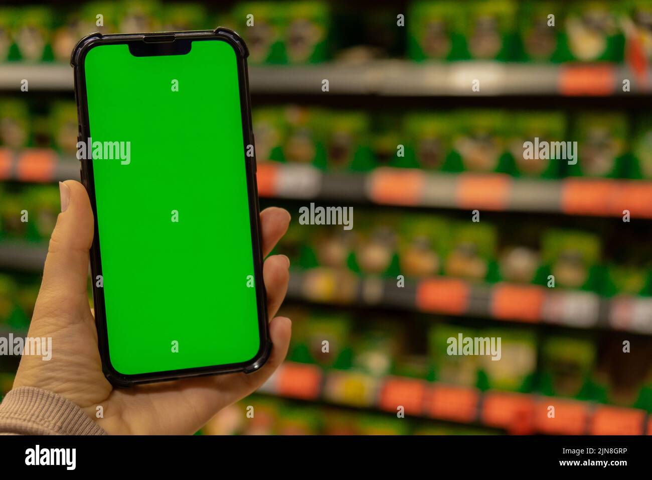 Mobile phone Chroma key. Close up of woman hand holds smart phone with ...