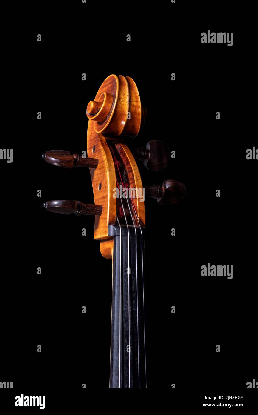 Head Professional Cello at black background Stock Photo - Alamy